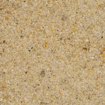 Dune Jewelry's Sandbank Catalog | 5,500+ Sands & Elements for ...