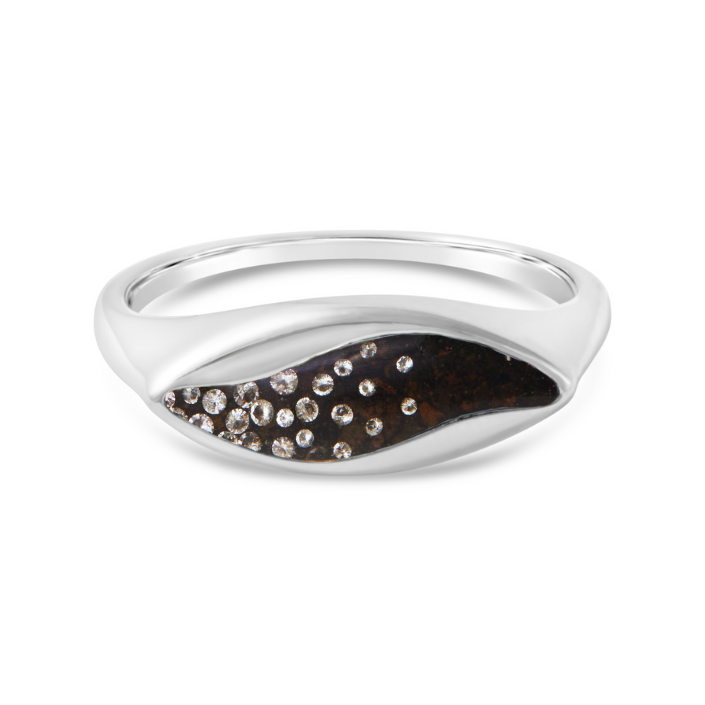 Natural Diamond And Obsidian Stone Ring | Ocean-Inspired Jewelry